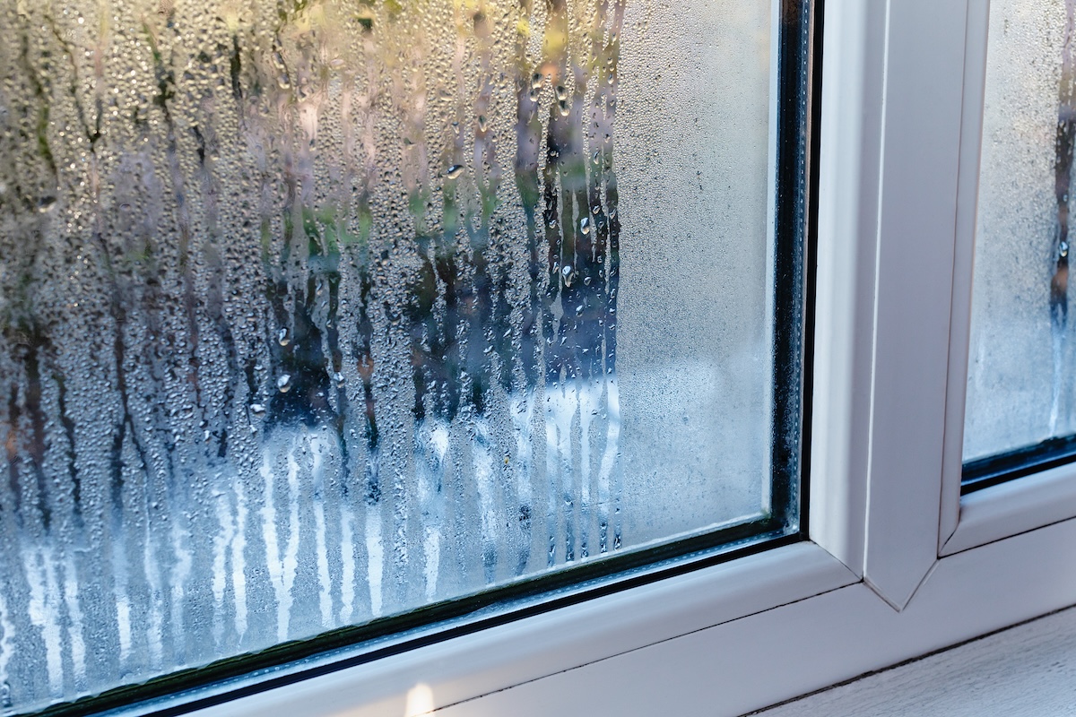 Dealing with Dampness: How to Prevent and Remove Mould - Britex